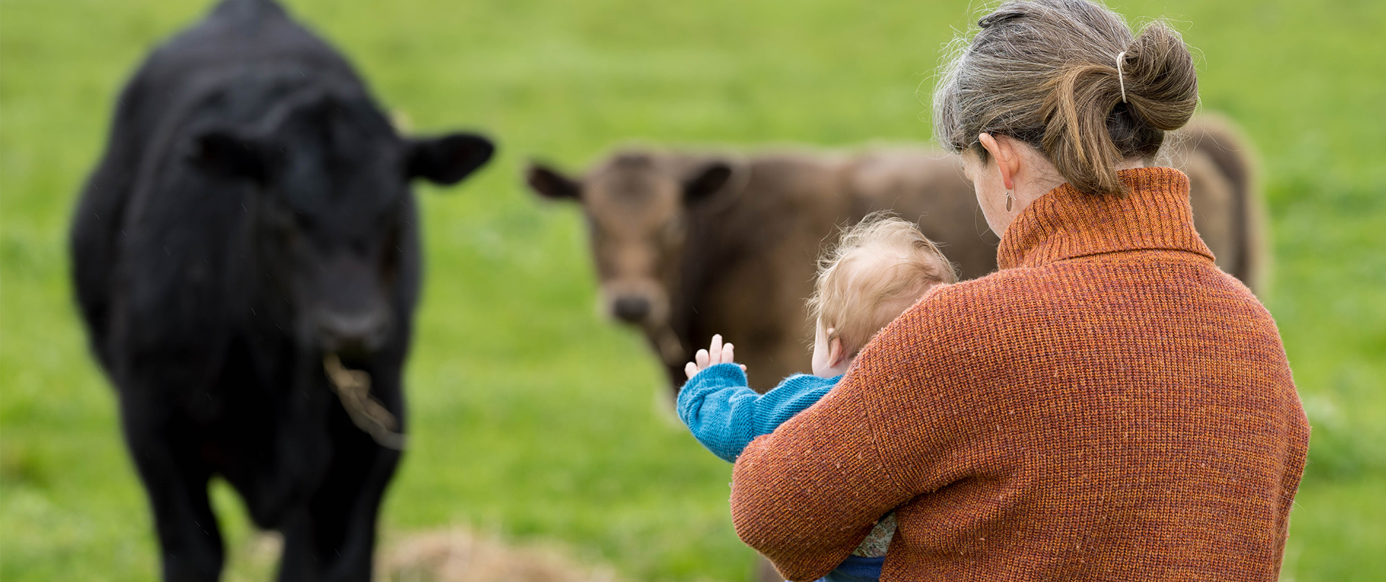 Protecting water resources | Environment | Bournemouth Water