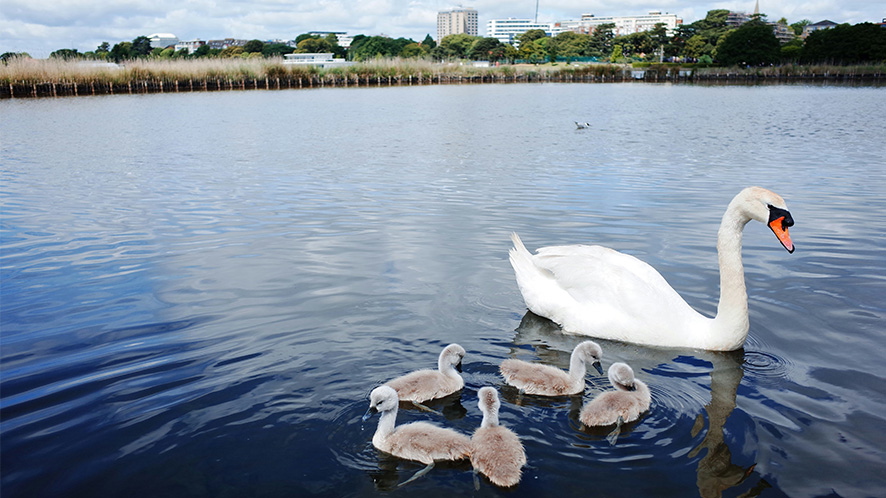 Environment | Bournemouth Water