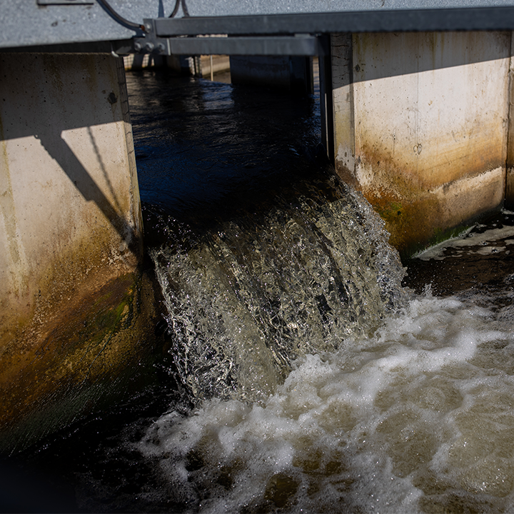 The journey of water | About us | Bournemouth Water