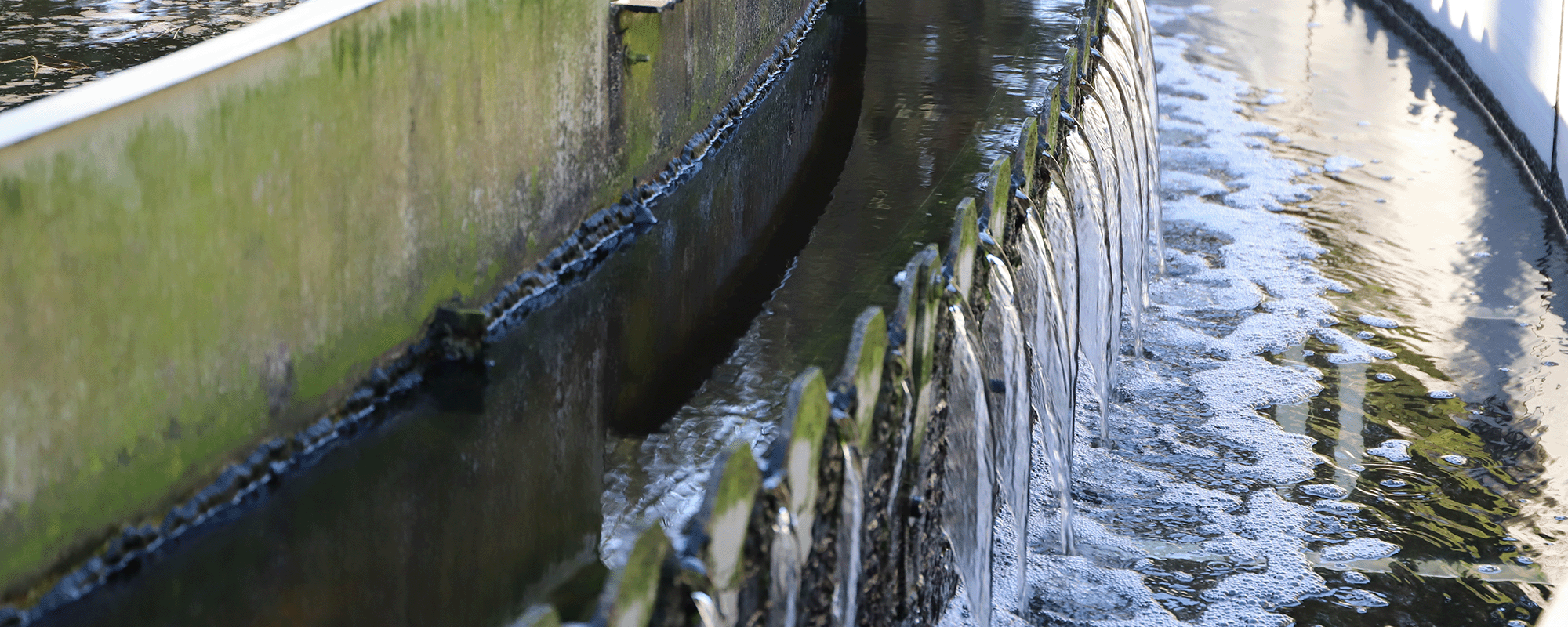 Protecting water resources | Environment | Bournemouth Water
